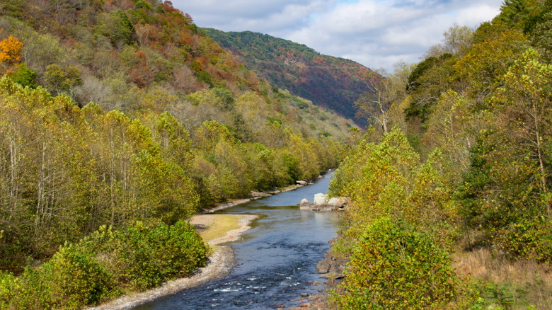 West Virginia's hidden canyon boasts historic charm, rapids, and bald ...