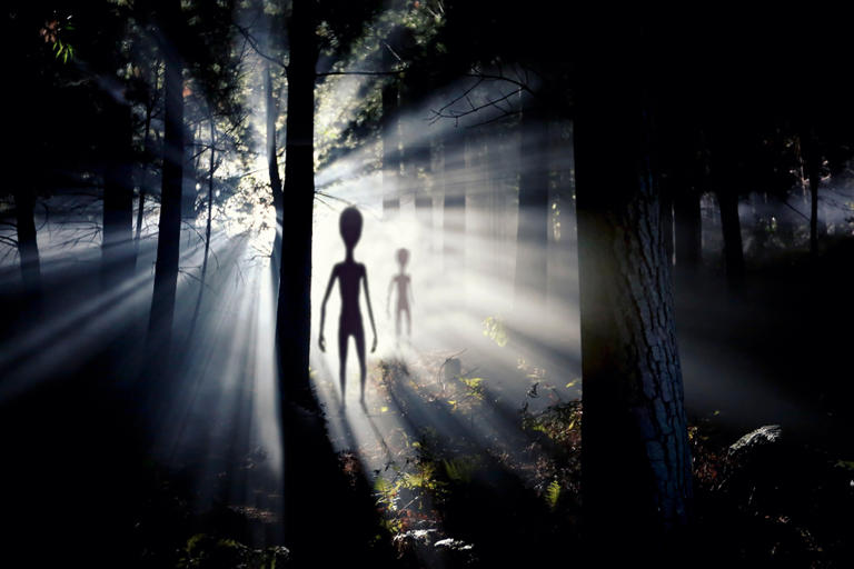 The darkest tales from every state in America