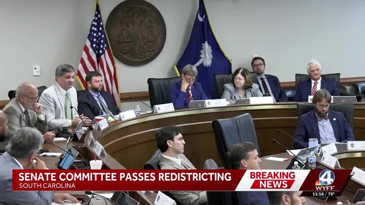 SC Senate committee advances new congressional map