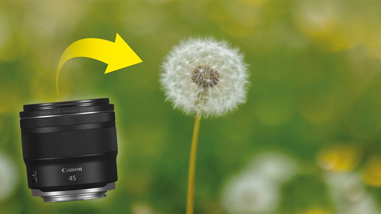 5x cheaper than the alternative, this fast Canon lens opens a new world ...