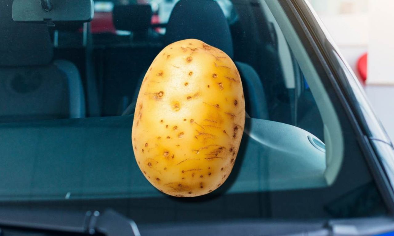Frotar una papa en los vidrios del auto antes de que llueva: el truco ...