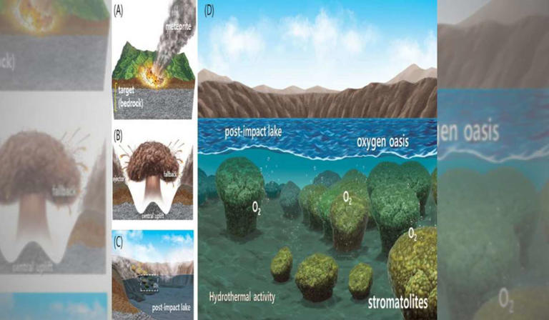 Asteroid impacts may have helped create microbes that gave Earth its ...