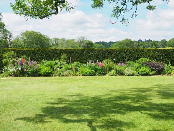 Lawns will be 'thicker' and 'greener' when 1 bathroom item is sprinkled ...