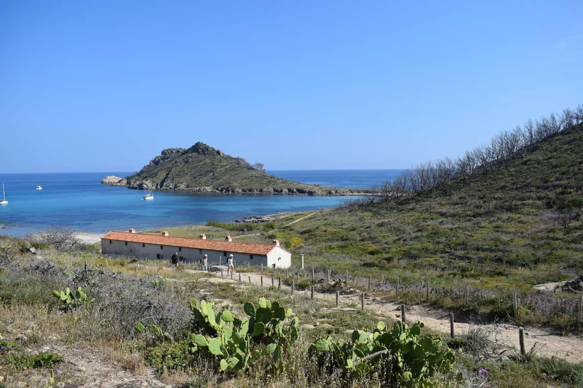 Criques sauvages, plage et exposition : Ramatuelle invite à une ...