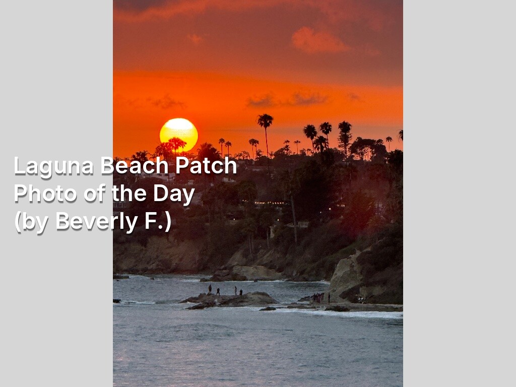 🌱 Patch AM: What drives LBUSD board member Joan Malczewski’s decisions ...