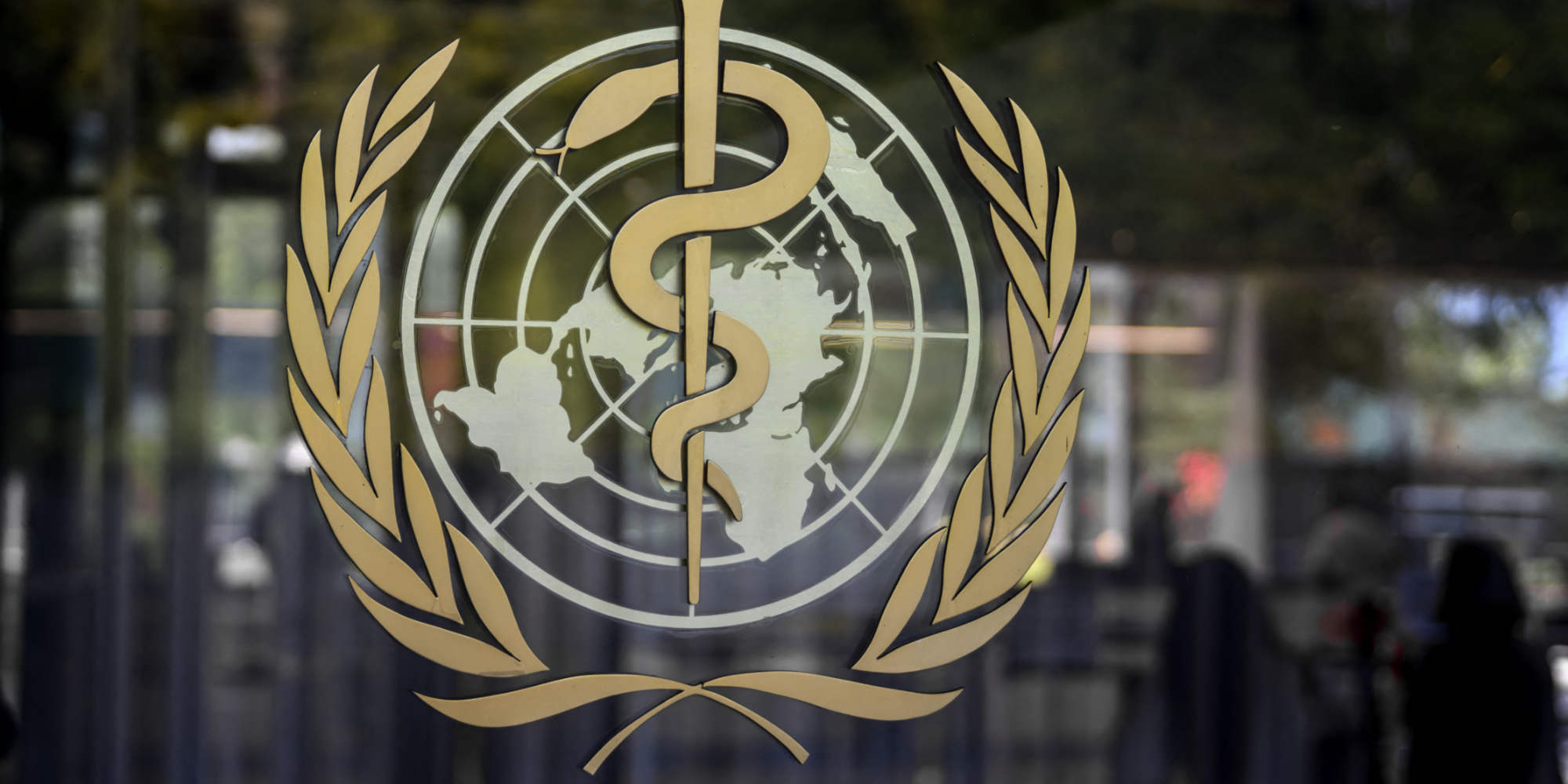 Ebola : risque épidémique « élevé » aux niveaux national et régional ...