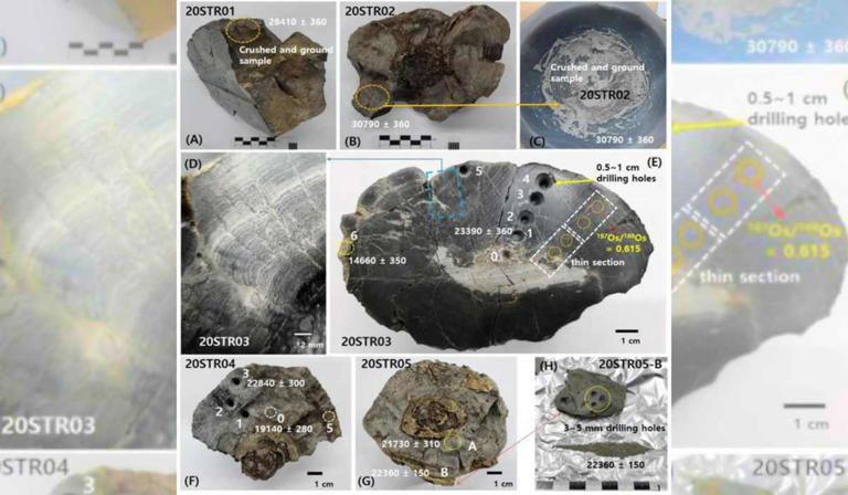 Asteroid impacts may have helped create microbes that gave Earth its ...