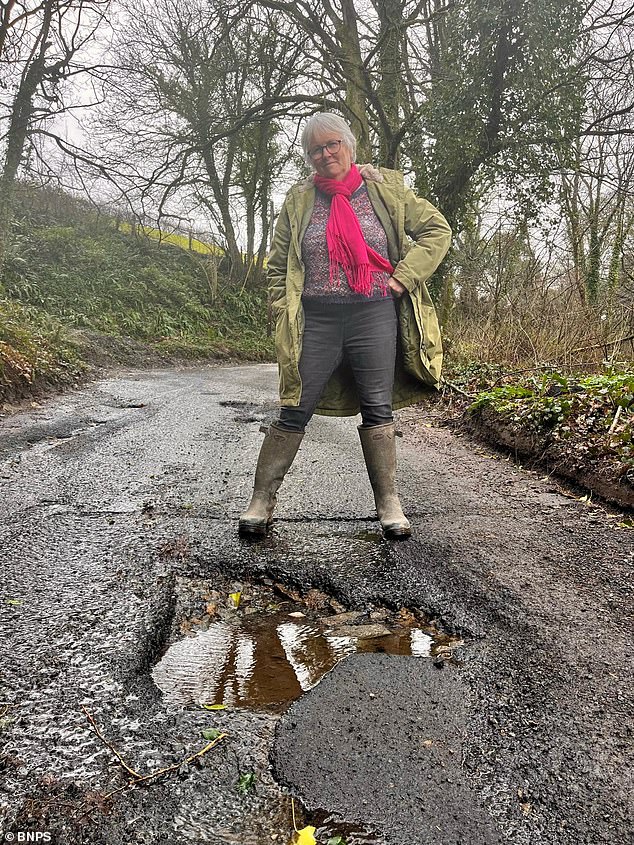 Lib Dem councillor calls for volunteers to fill potholes and admits 'we ...