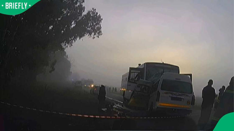 Mpumalanga crash leaves eight people dead after bus and taxi collide ...