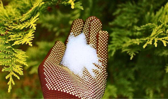 Lawns will be 'thicker' and 'greener' when 1 bathroom item is sprinkled ...