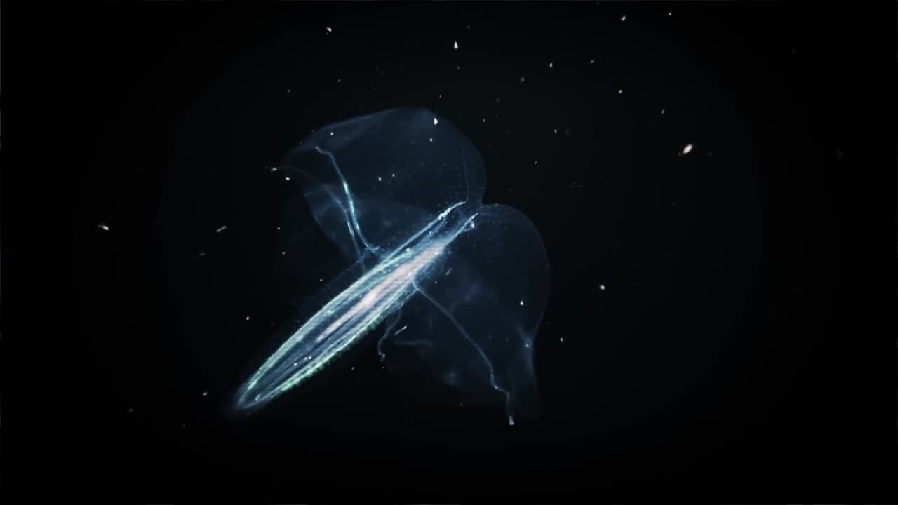 Scientists say aliens look nothing like humans – and that’s the problem