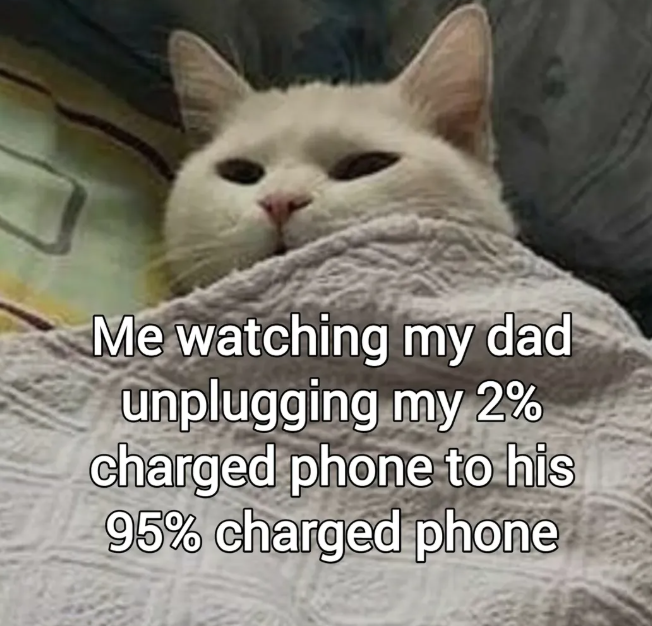 Need a recharge? 21 low battery memes for people running on 1% but ...