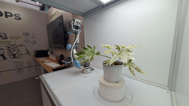 AI plant exhibit wins award at Chelsea Flower Show