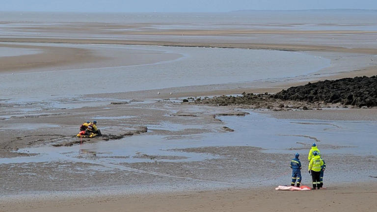 Man and his dog rescued after getting stuck in mud