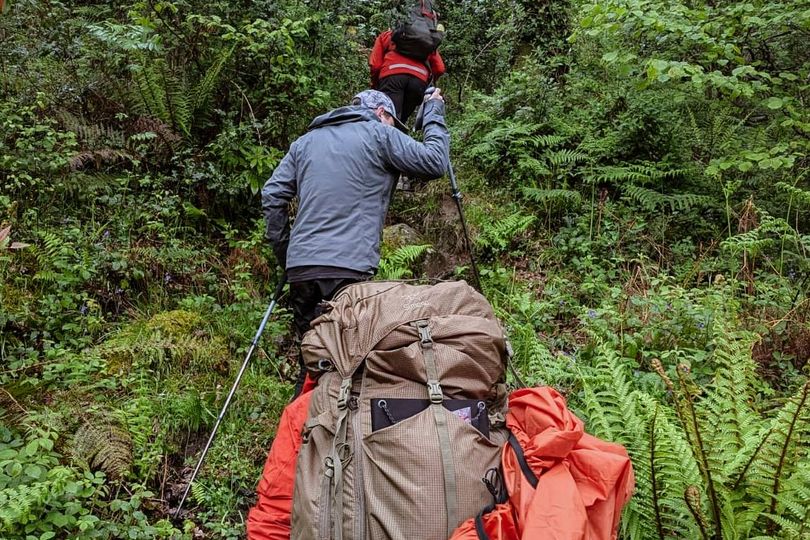 Two hikers fall seriously ill after drinking contaminated water from ...