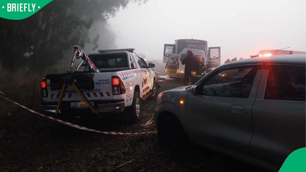 Mpumalanga crash leaves eight people dead after bus and taxi collide ...