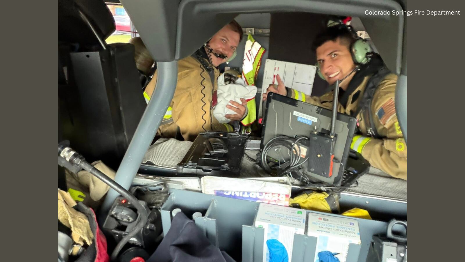 Colorado Springs firefighters rescue ‘distressed’ baby raccoon from ...