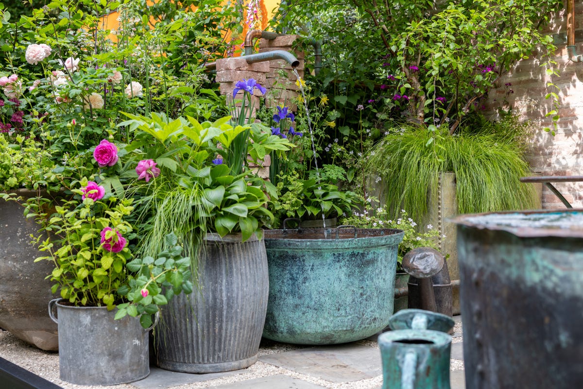 5 practical small garden ideas to take home from Chelsea Flower Show ...