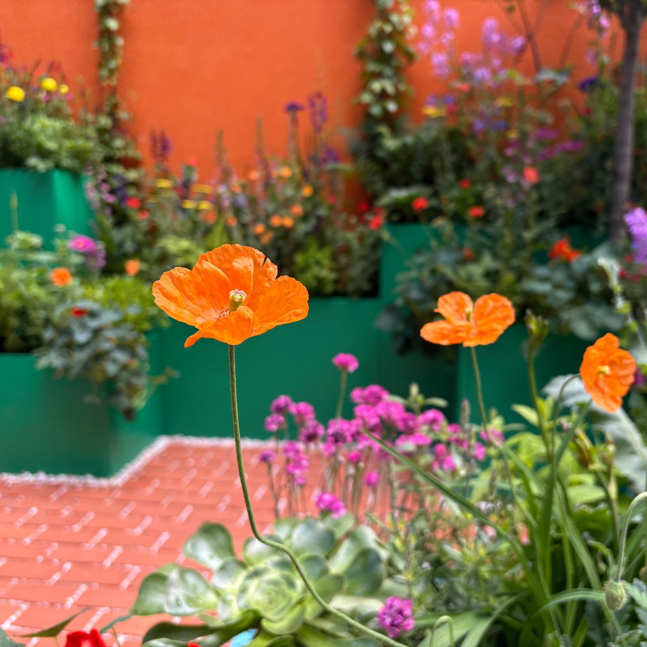 10 top garden trends at the world-famous Chelsea Flower Show