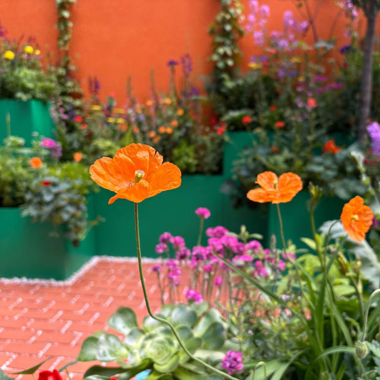 10 top garden trends at the world-famous Chelsea Flower Show