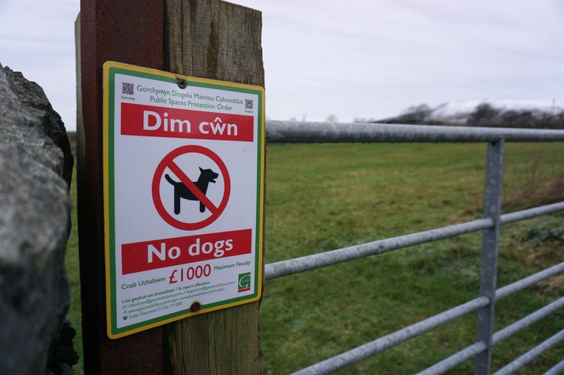 Bala dog owner who failed to clear up after pet given £450 fine