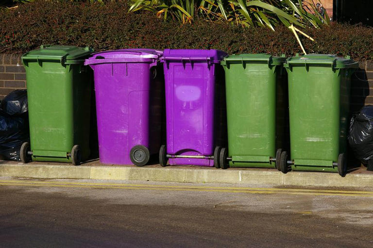 Five common household items banned from recycling bin or risk it not ...