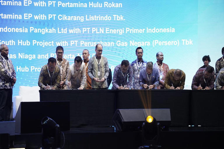 ESDM dan IPA perkuat kemitraan hadapi tantangan migas