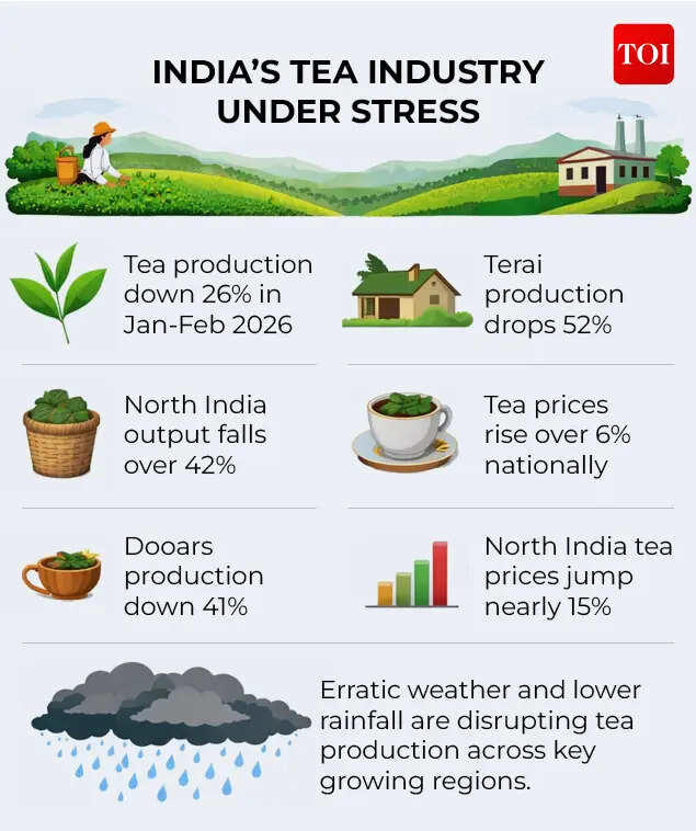 International Tea Day 2026: The storm brewing inside India’s favourite cup