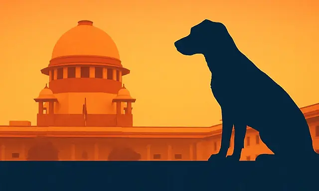 600 lawyers argue before Supreme Court in stray dog case