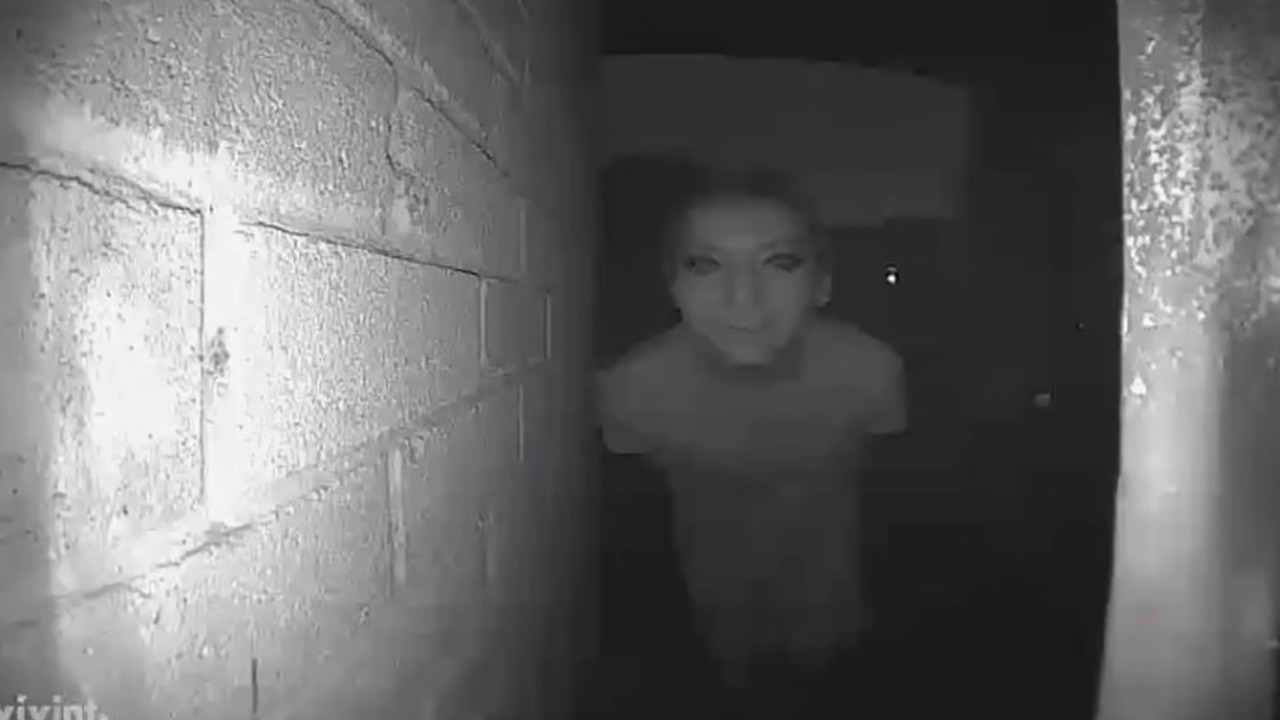 He thought it was a stray dog - then the camera showed a grinning ...
