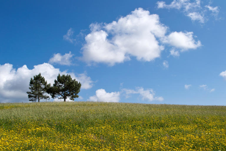 Météo Bourgogne-Franche-Comté : va-t-il vraiment faire beau ce weekend ...