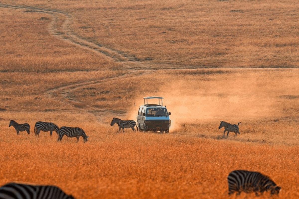 Why Kenya is becoming the new luxury safari destination for Indian ...