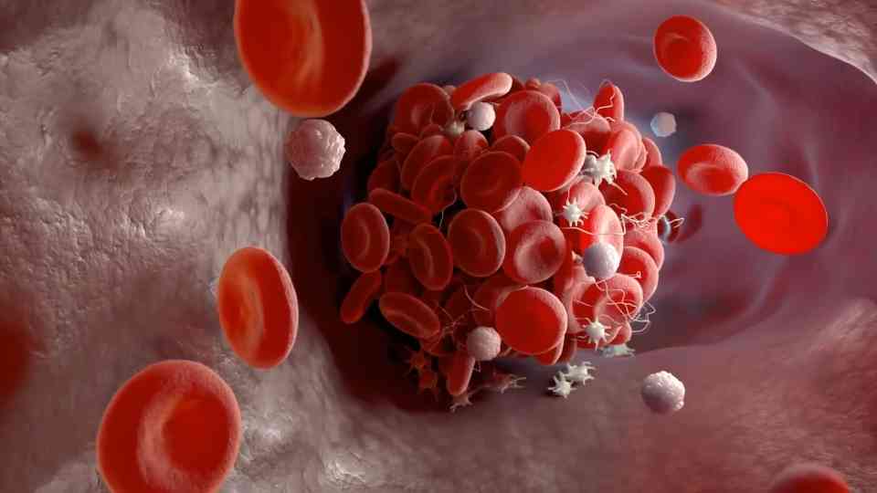 La verdad oculta de la testosterona que nadie se atreve a contar