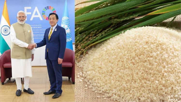 Assam's Joha rice reaches global spotlight as PM Modi gifts sample to ...
