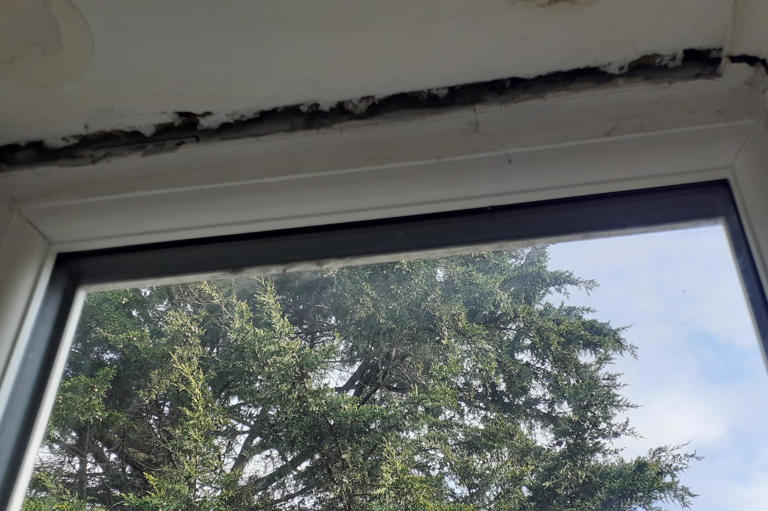 Relief after 'rogue landlord' prosecuted and fined