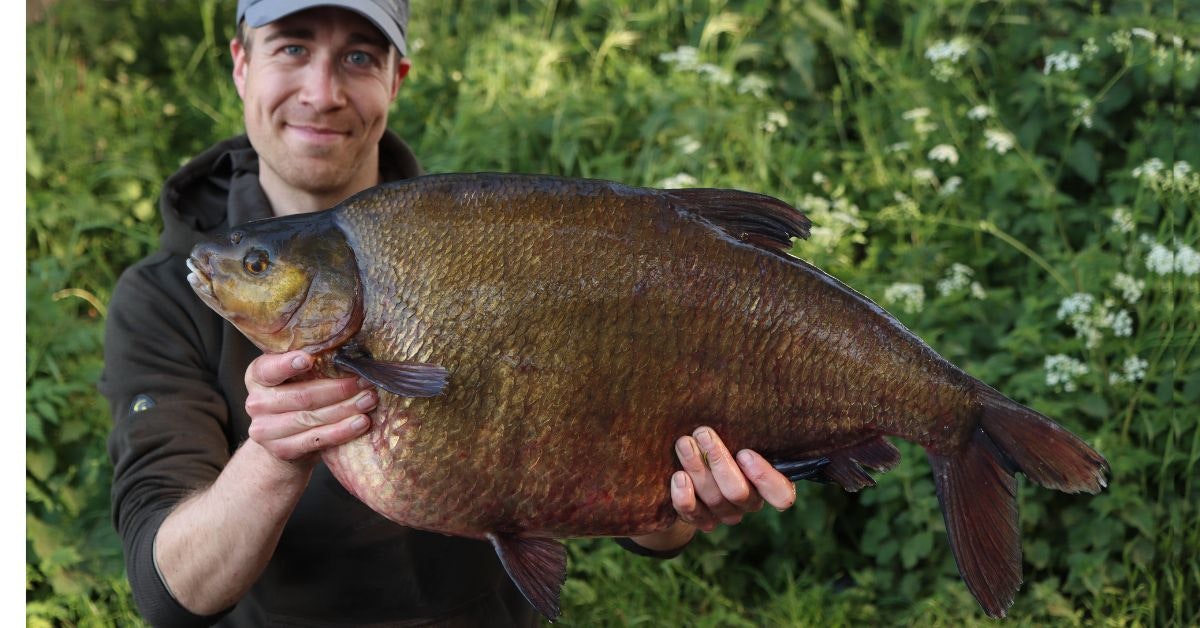 Massive bream caught just as angler was packing up