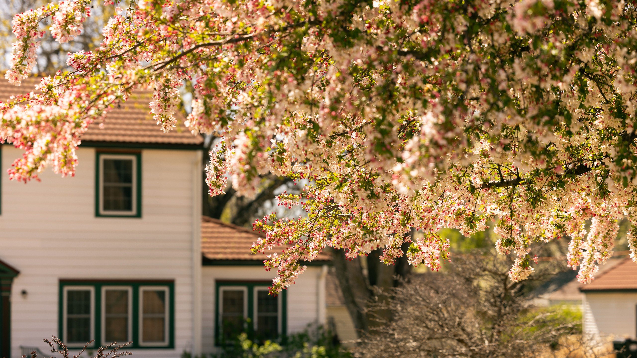 Spring housing market defies the odds as contract signings hit 4-year ...