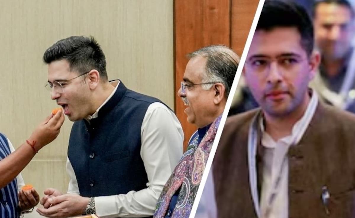 Critique, not attack: Delhi court to Raghav Chadha on 'sold out' post