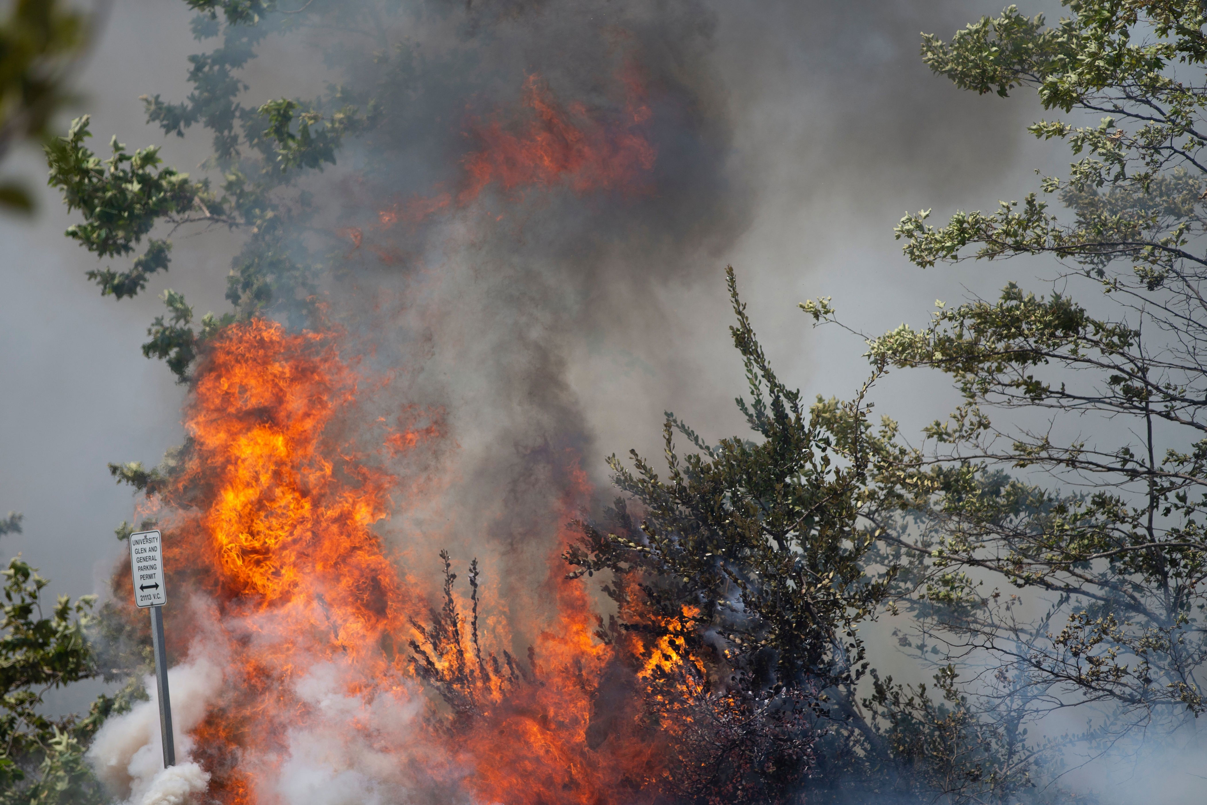 California national park faces closures over Memorial Day weekend after ...