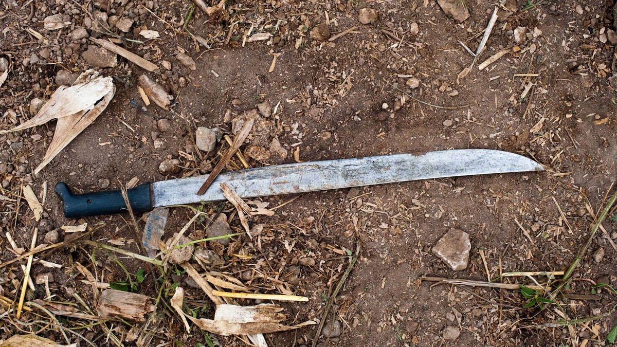 Mit Machete: Mann versetzt S-Bahn-Fahrgäste in Angst