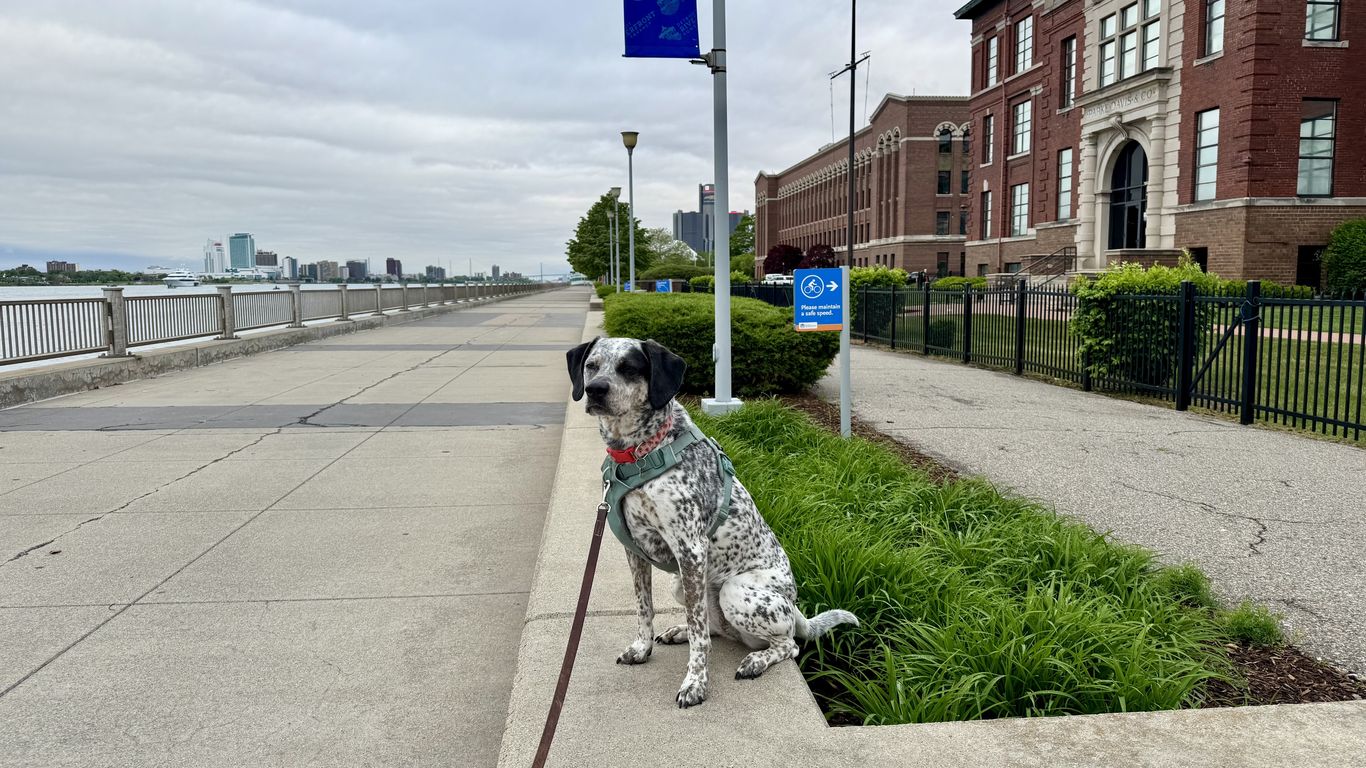 Readers: Where do you draw the line on off-leash dogs?