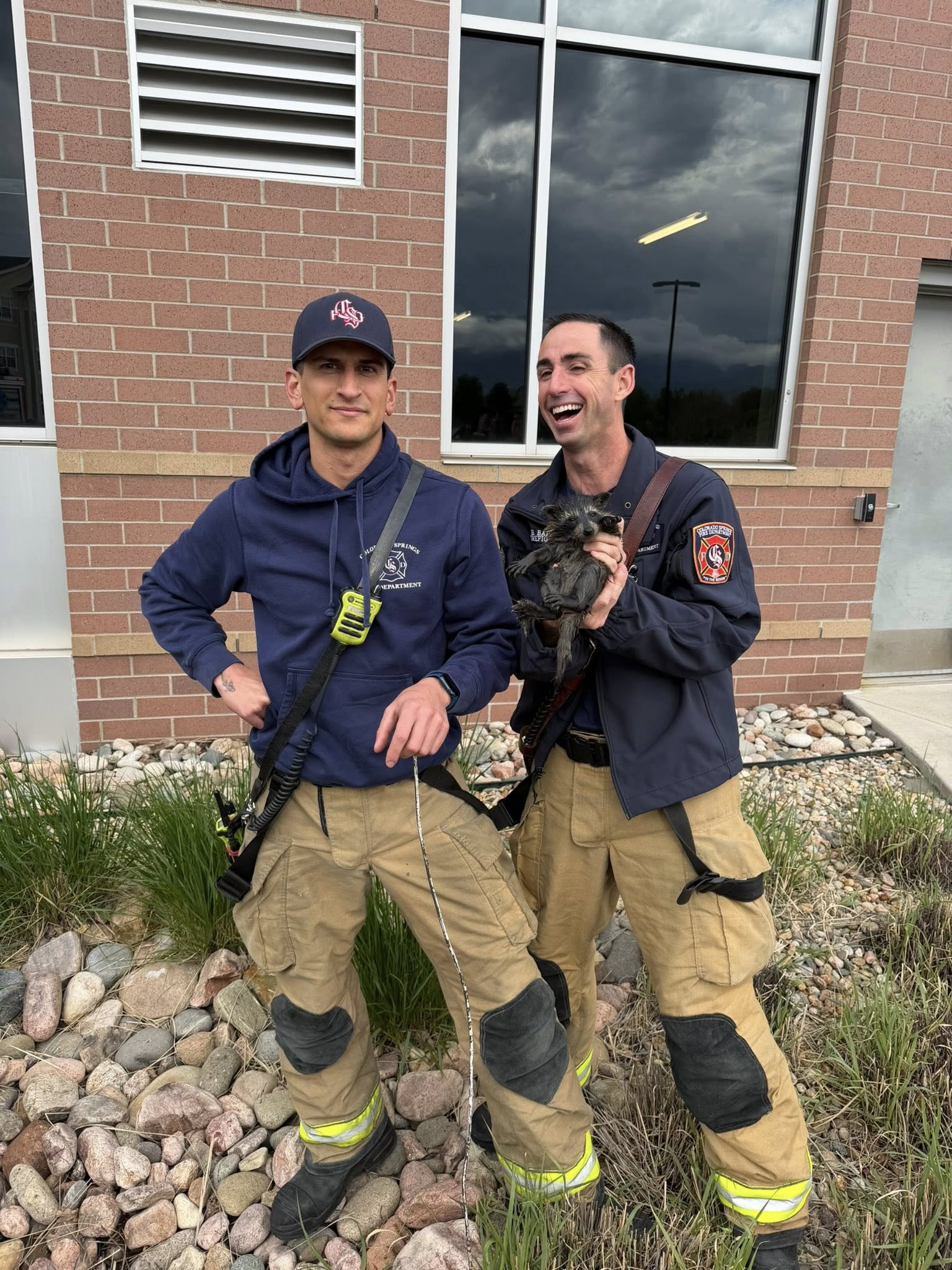 Colorado Springs firefighters rescue ‘distressed’ baby raccoon from ...