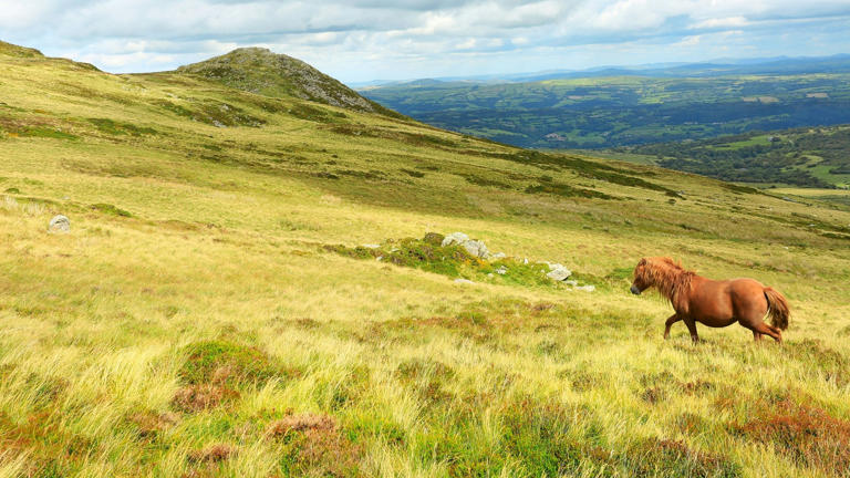I spent two nights off-grid in Snowdonia – and felt rich beyond belief