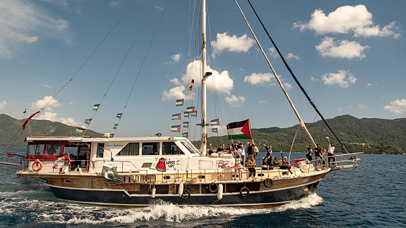 Flotilla, rilasciati da Israele gli attivisti: attesa per il rimpatrio ...