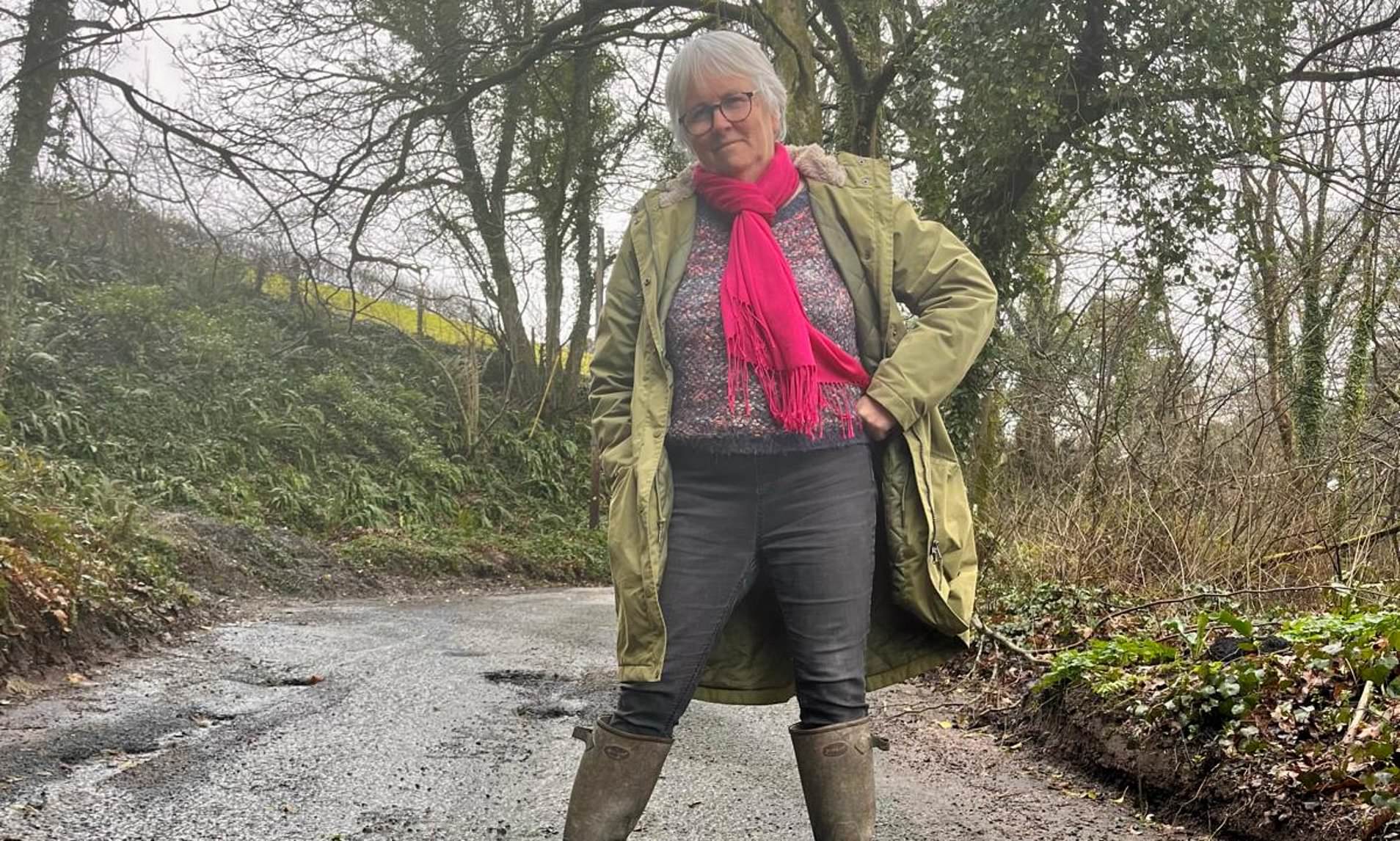 Lib Dem councillor calls for volunteers to fill potholes and admits 'we ...
