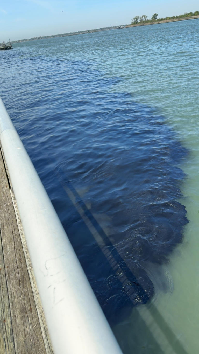 30K gallons of nasty sewage waste accidentally unloaded in Long Island ...