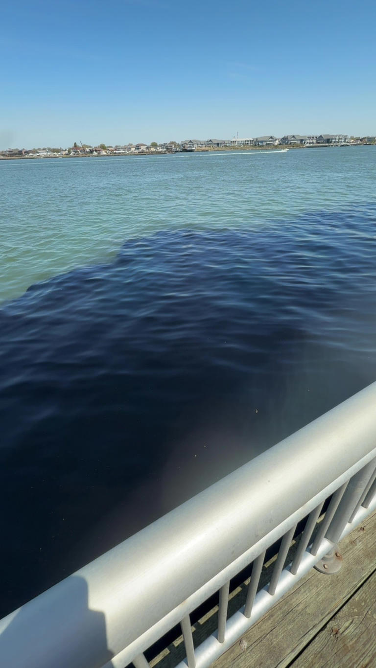 30K gallons of nasty sewage waste accidentally unloaded in Long Island ...