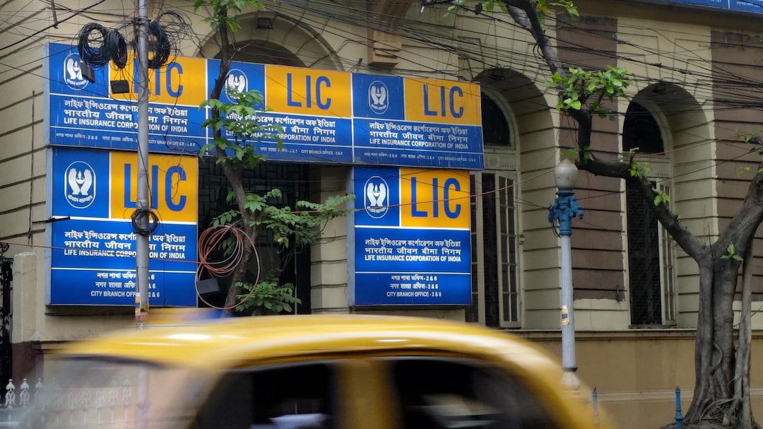 LIC dividend: Insurer declares Rs 20/share dividend, but there's a ...