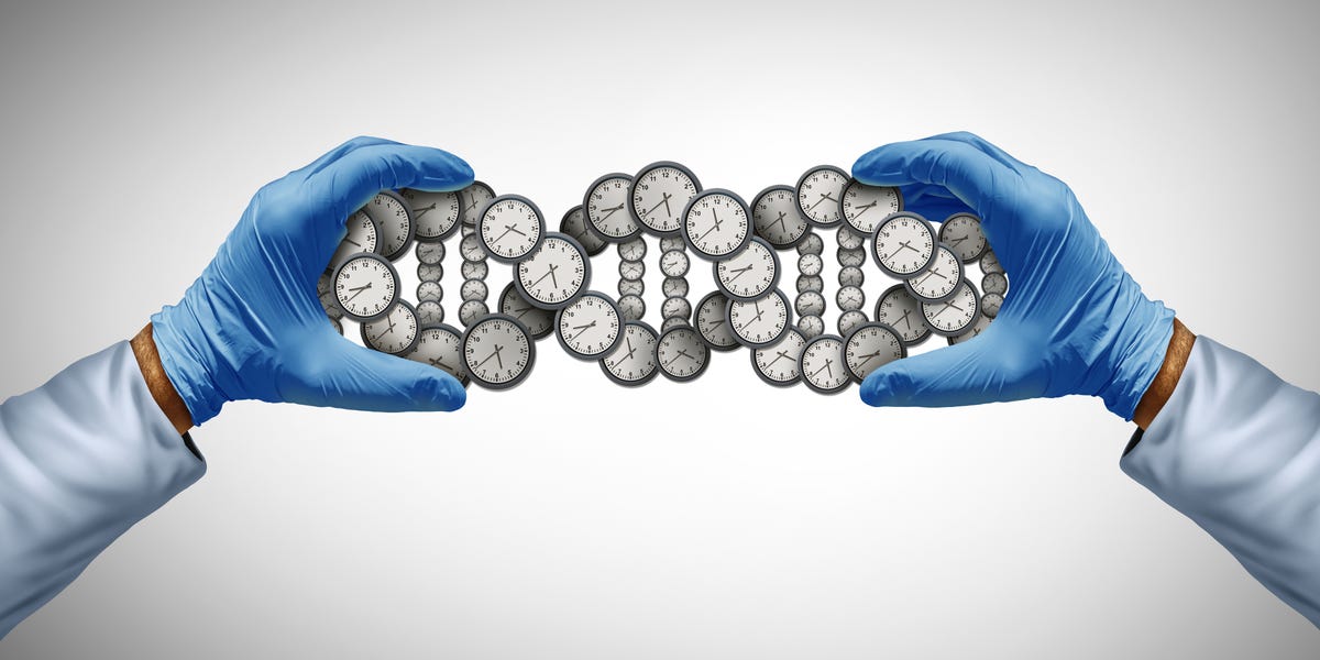 Scientists found the biggest factor in how long you’ll live. There’s ...