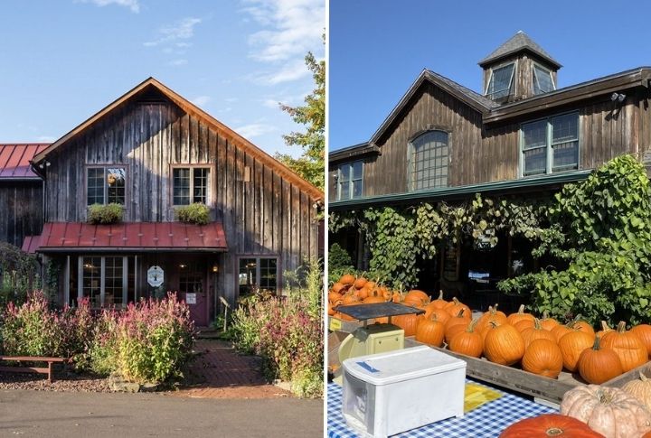 50 U-pick farms you'll love visiting across the states
